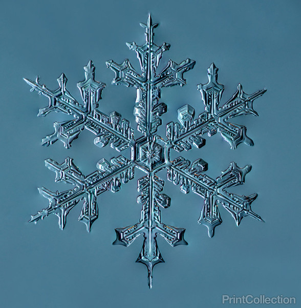 swissmiss | Snowflakes